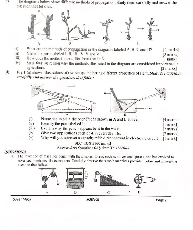 (c) The diagrams below show different | StudyX