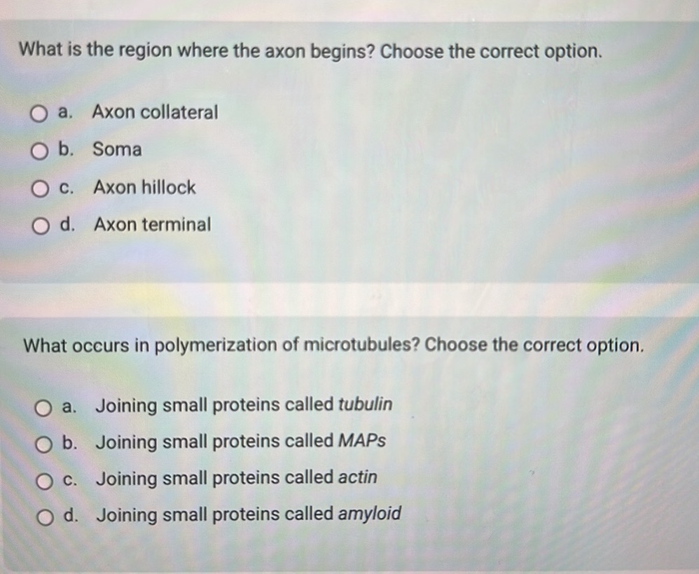 What is the region where the axon begins? | StudyX