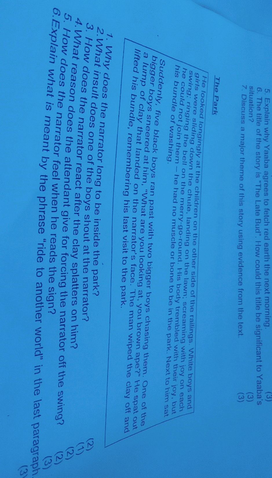 5. Explain why Yaaba agrees to fetch red | StudyX