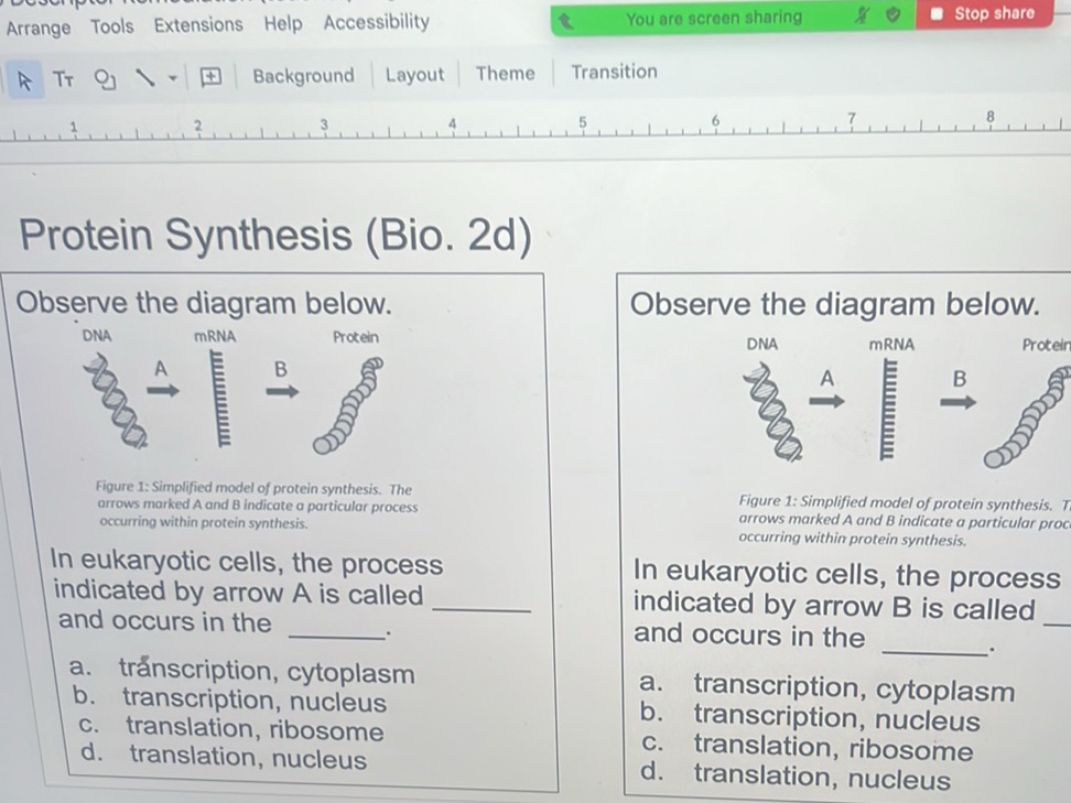 Observe the diagram below. DNA -> A -> mRNA | StudyX