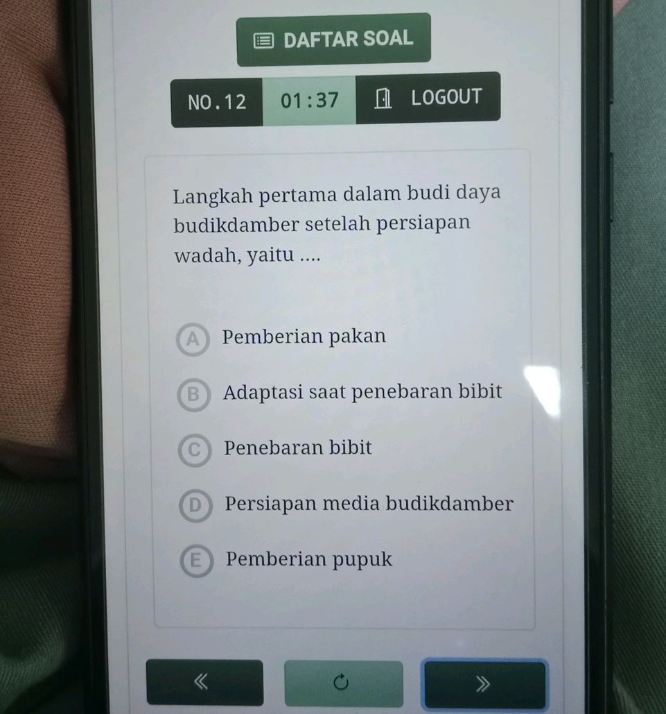 Langkah pertama dalam budi daya budikdamber | StudyX