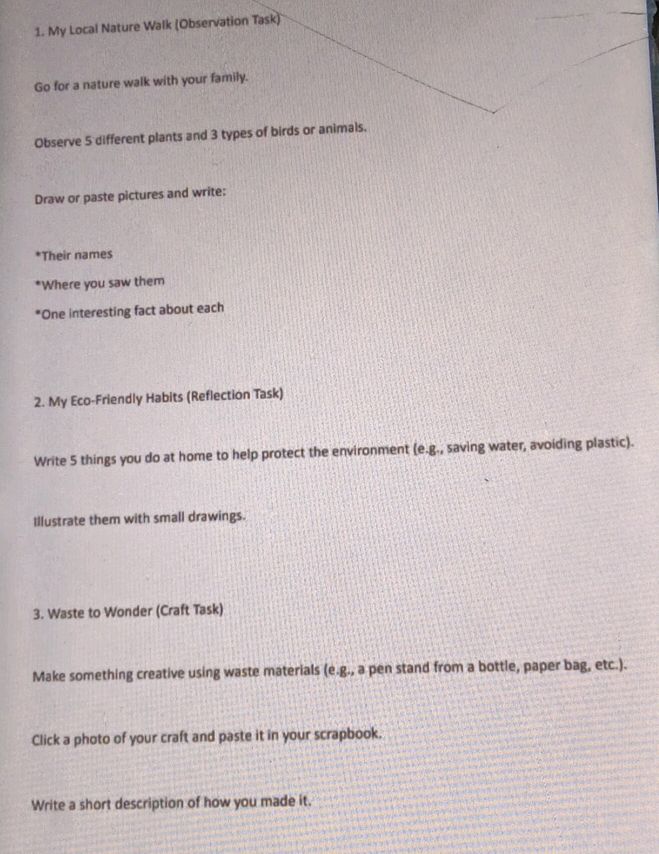1. My Local Nature Walk (Observation Task) | StudyX