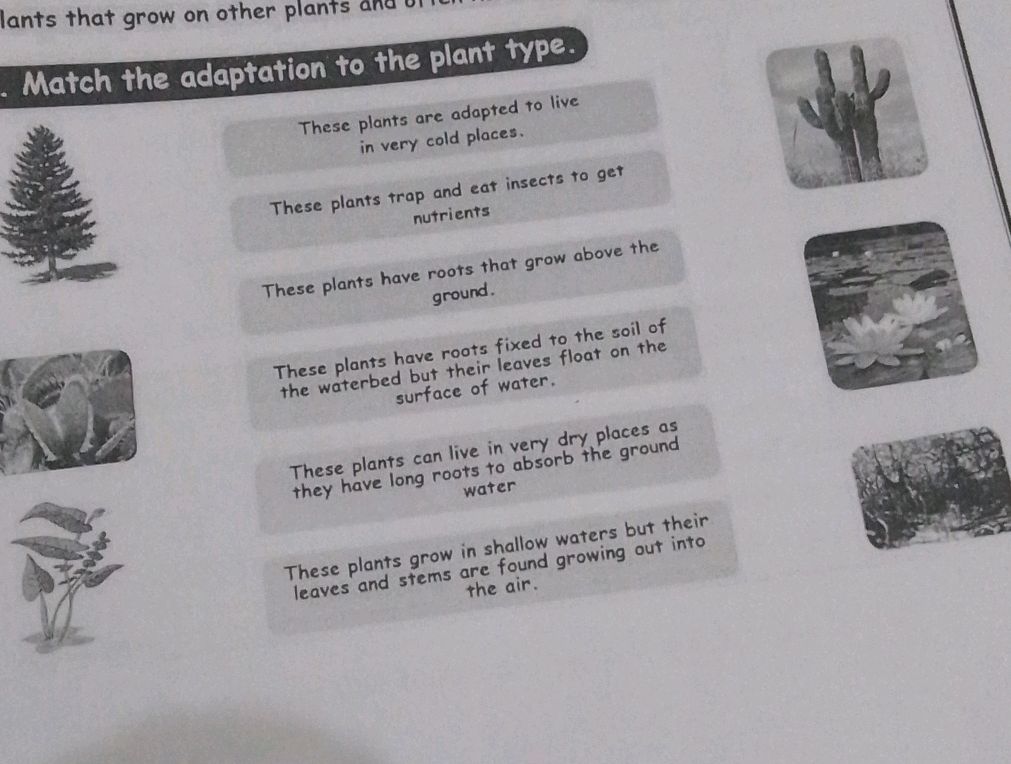 Match the adaptation to the plant type. | StudyX