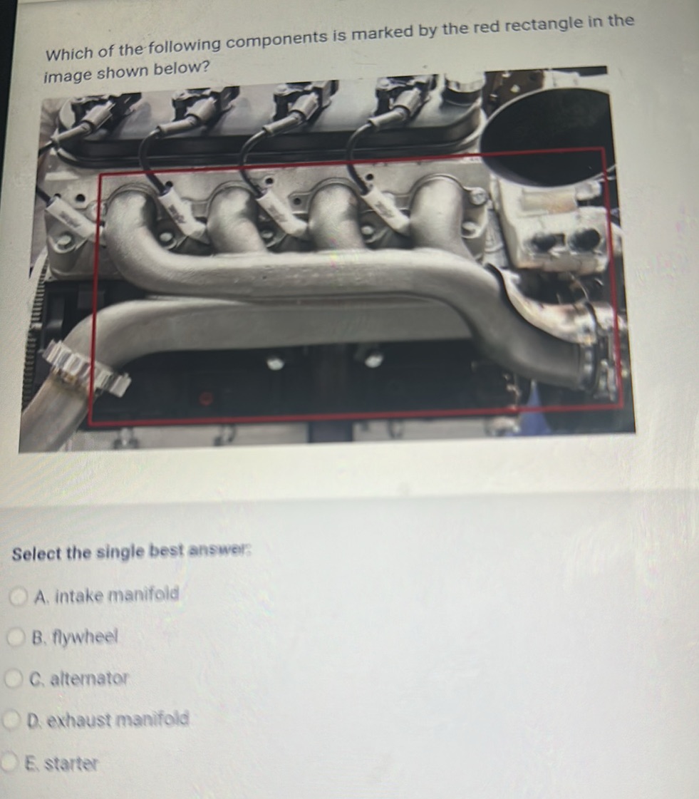 Which of the following components is marked | StudyX