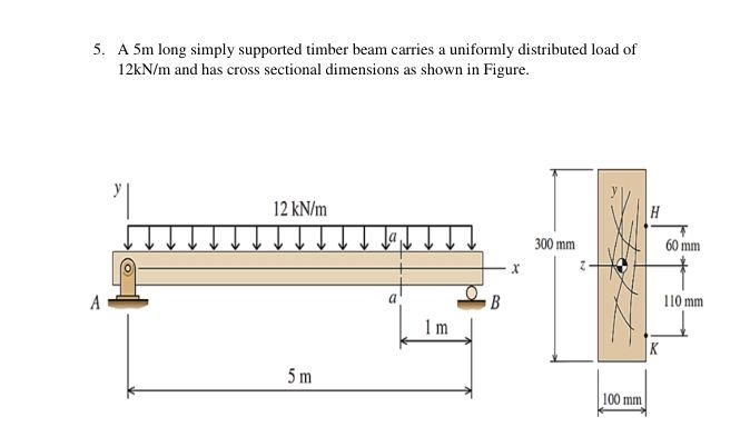 5. A 5m long simply supported timber beam | StudyX