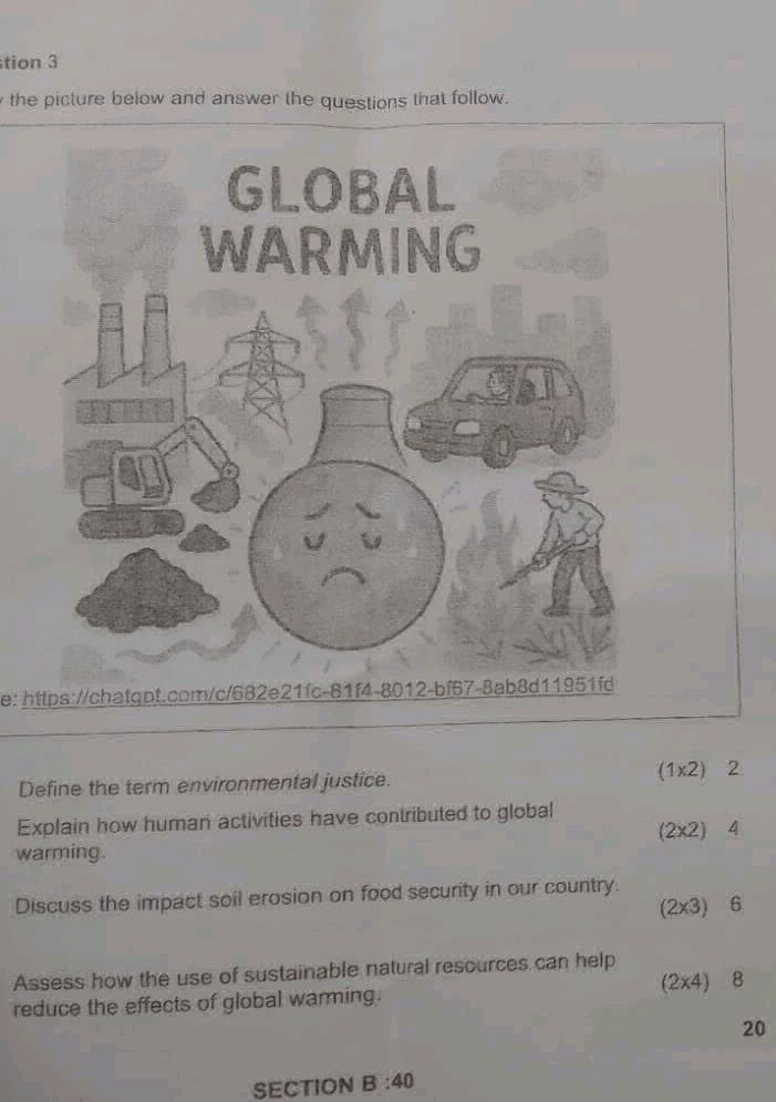 Observe the picture below and answer the | StudyX