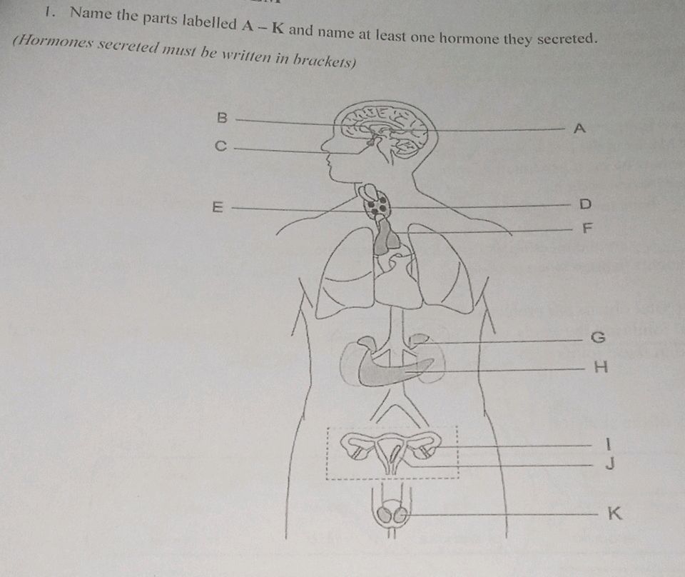 1. Name the parts labelled A - K and name at | StudyX