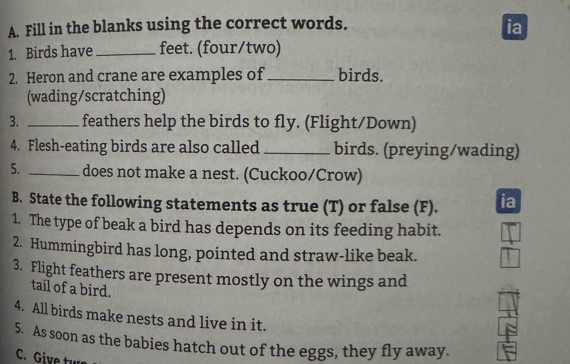 A. Fill in the blanks using the correct | StudyX