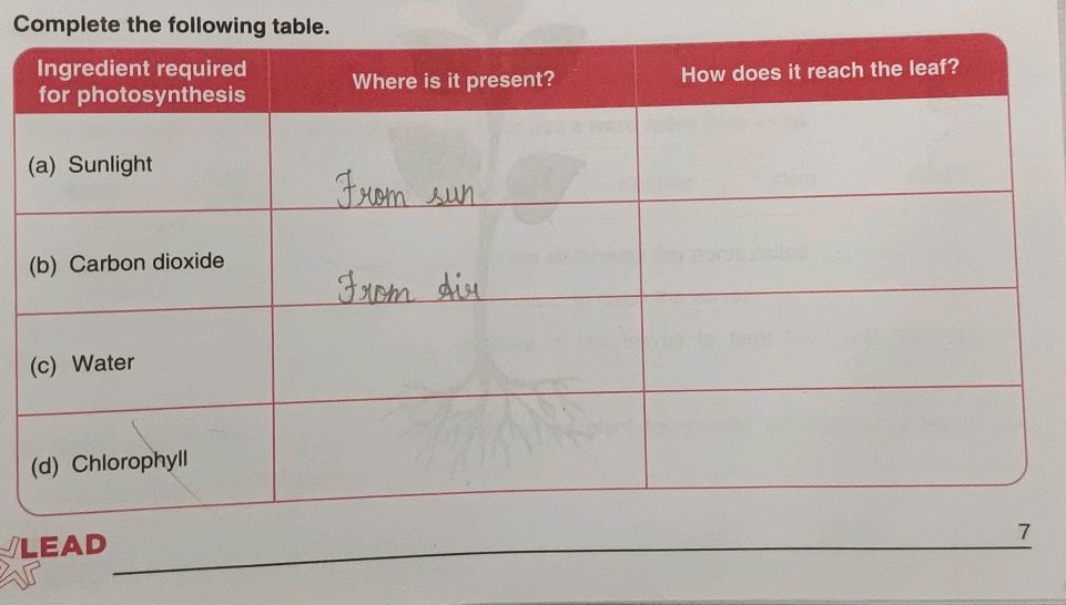 Complete the following table. | Ingredient | StudyX