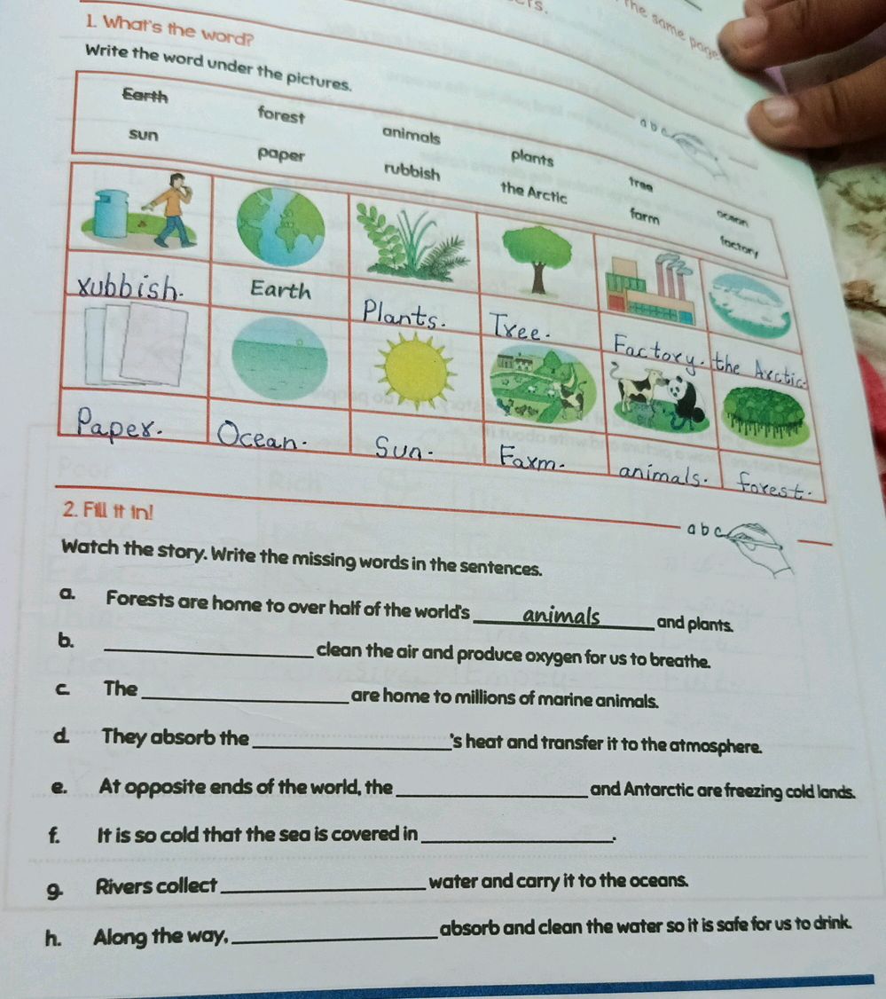 1. What's the word? Write the word under the | StudyX
