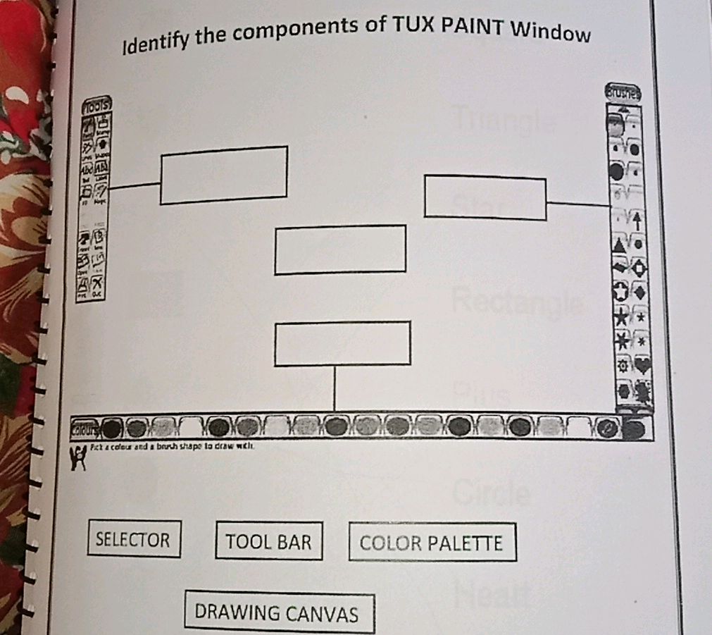 Identify the components of TUX PAINT Window
