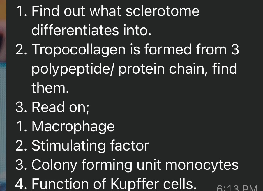 1. Find out what sclerotome differentiates | StudyX