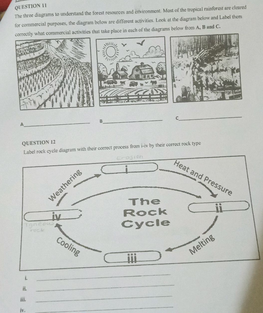 QUESTION 11 The three diagrams to understand | StudyX