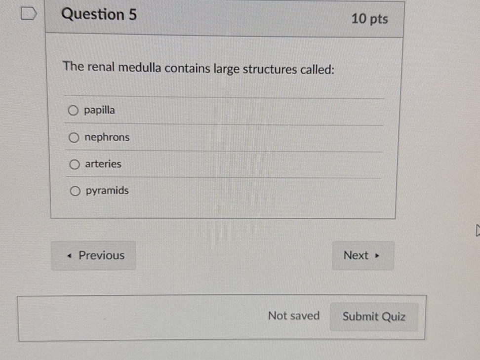 The renal medulla contains large structures | StudyX