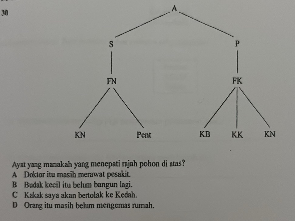 Ayat yang manakah yang menepati rajah pohon | StudyX
