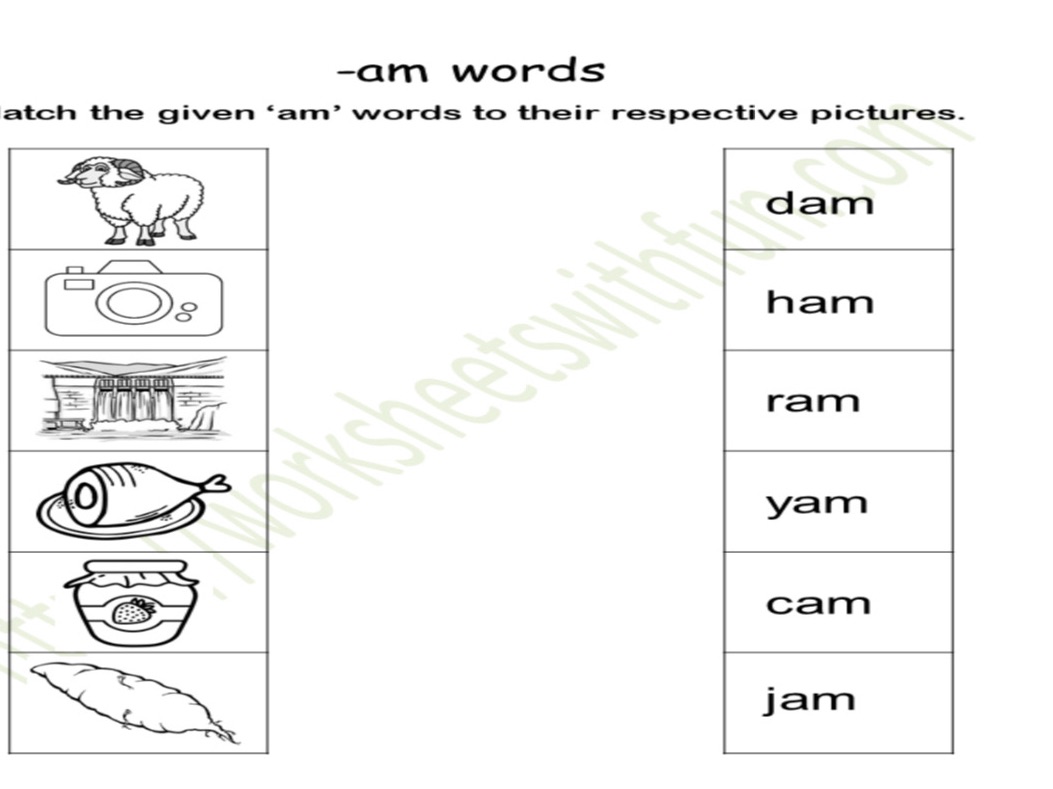 Match the given 'am' words to their | StudyX