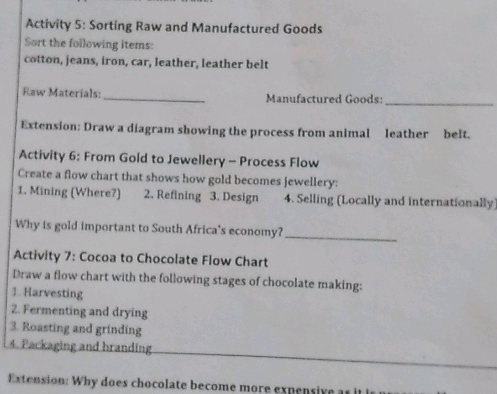 Activity 5: Sorting Raw and Manufactured | StudyX