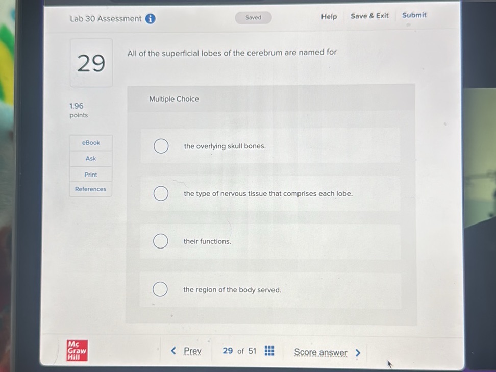 All of the superficial lobes of the cerebrum | StudyX