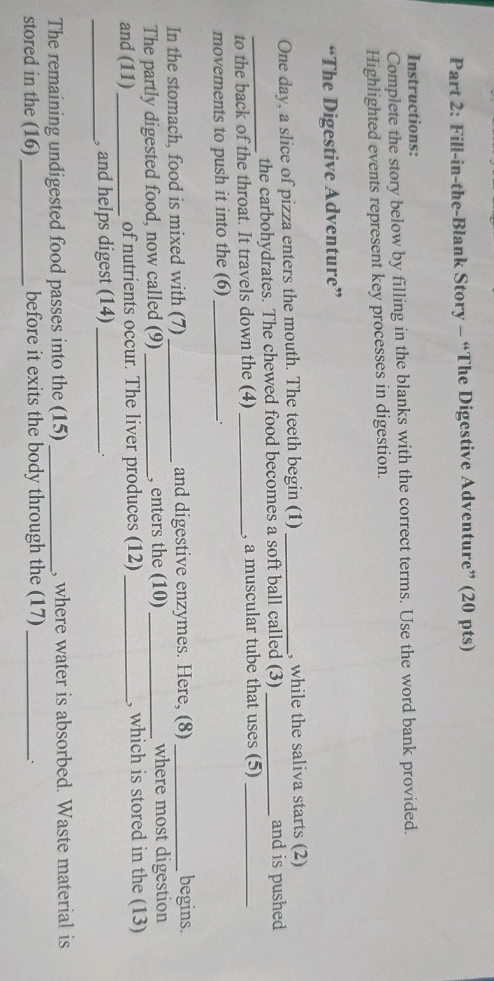 Part 2: Fill-in-the-Blank Story - "The | StudyX