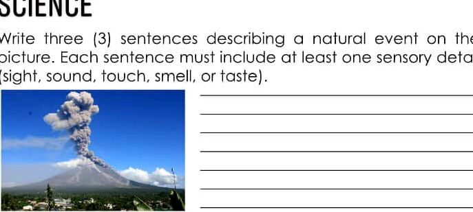 Write three (3) sentences describing a | StudyX