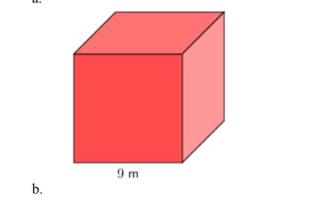 The image shows a cube with a side length of | StudyX