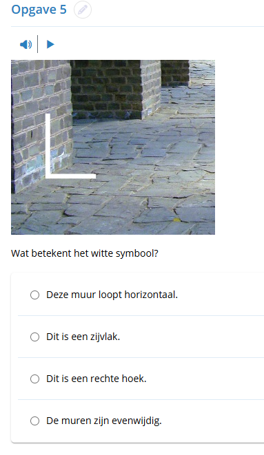 Wat betekent het witte symbool? Deze muur | StudyX