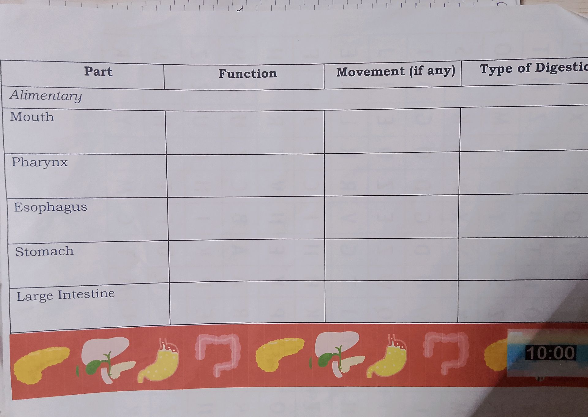 Part | Function | Movement (if any) | | StudyX