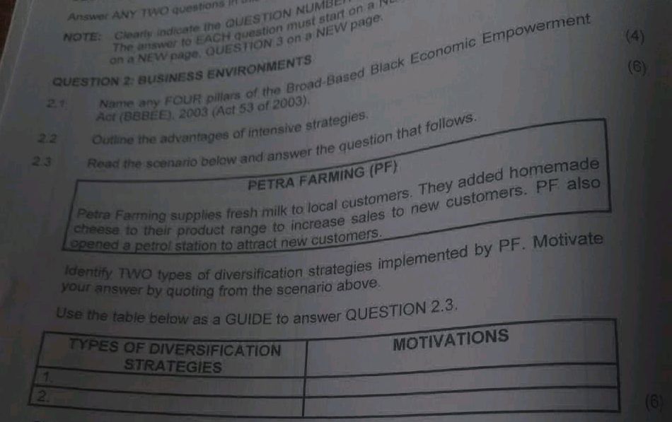 Identify TWO types of diversification | StudyX