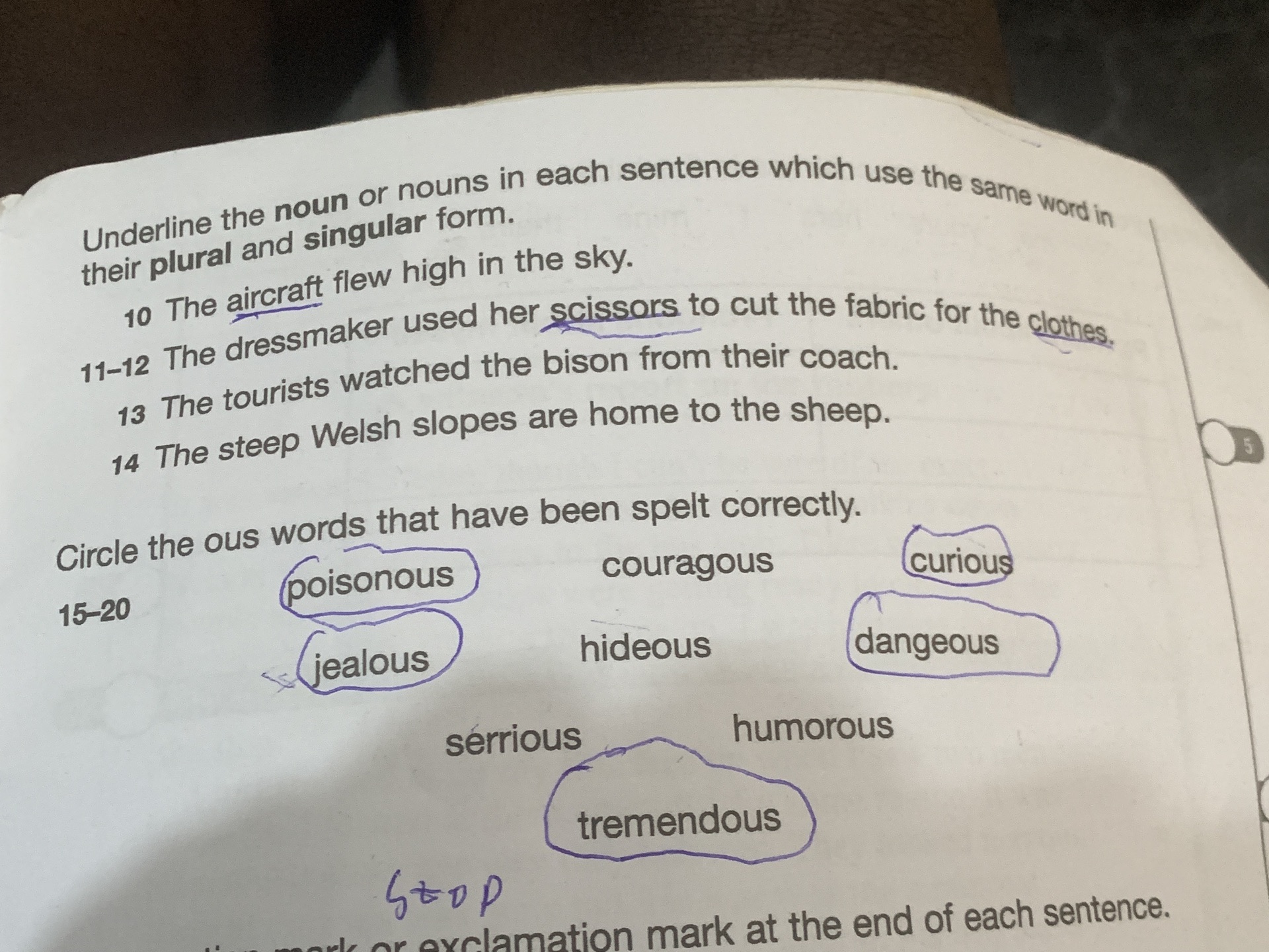 Underline the noun or nouns in each sentence | StudyX
