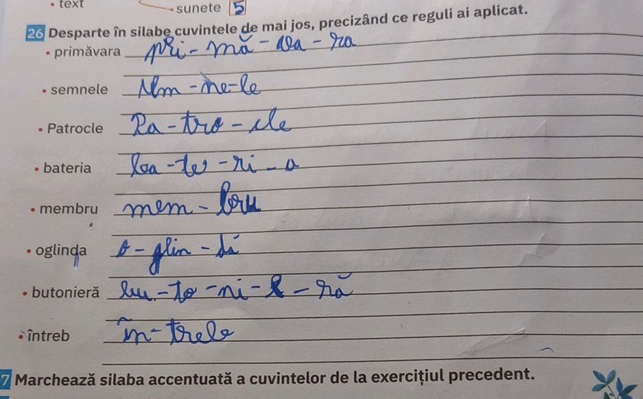 26 Desparte în silabe cuvintele de mai jos, | StudyX