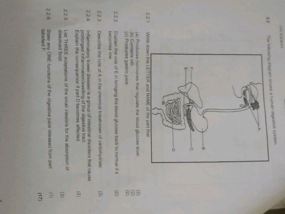 2. The following diagram shows a human | StudyX