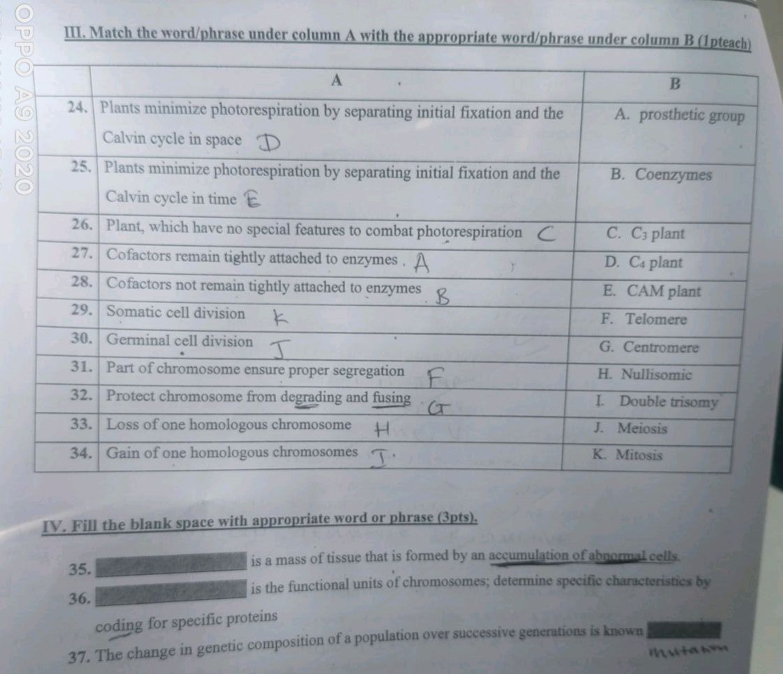 III. Match the word/phrase under column A | StudyX