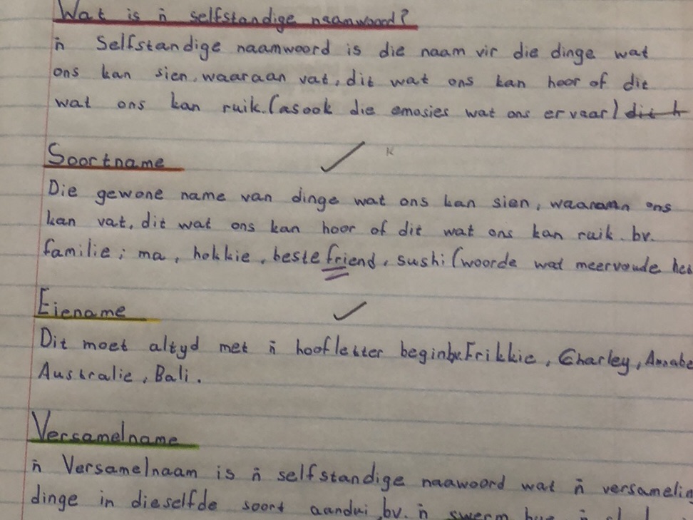 Wat is 'n selfstandige naamwoord? | StudyX