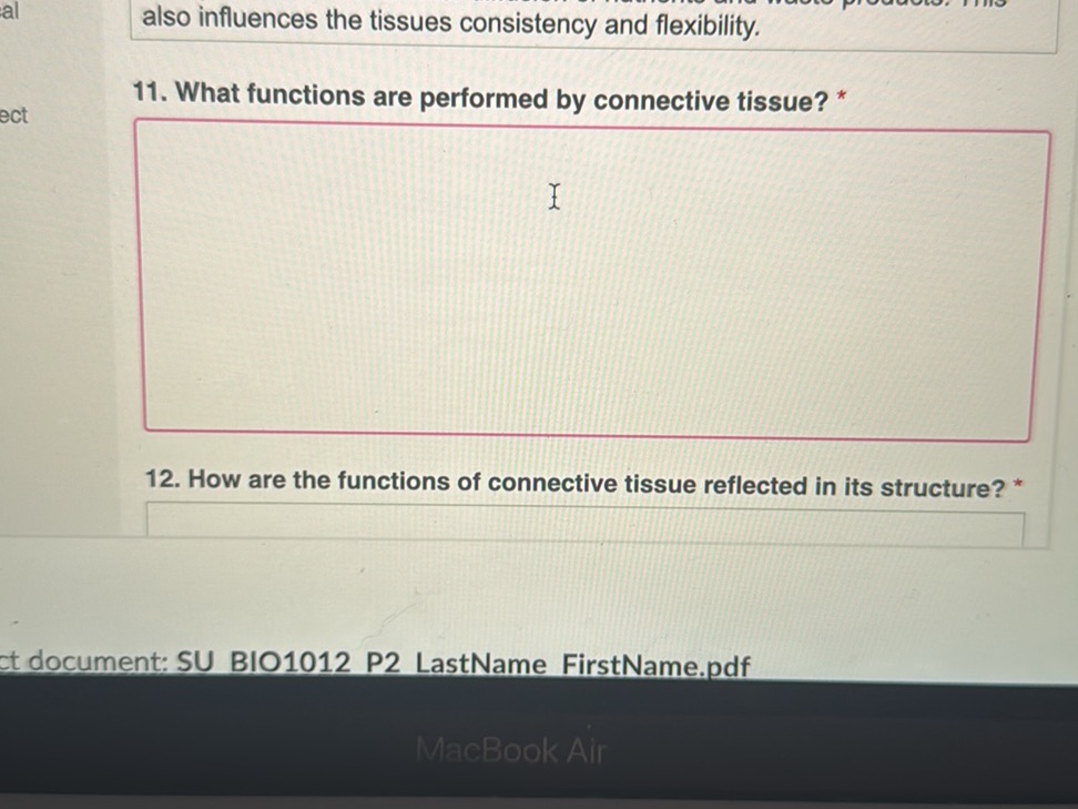 11. What functions are performed by | StudyX