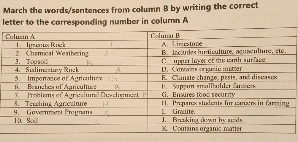 Match the words/sentences from column B by | StudyX