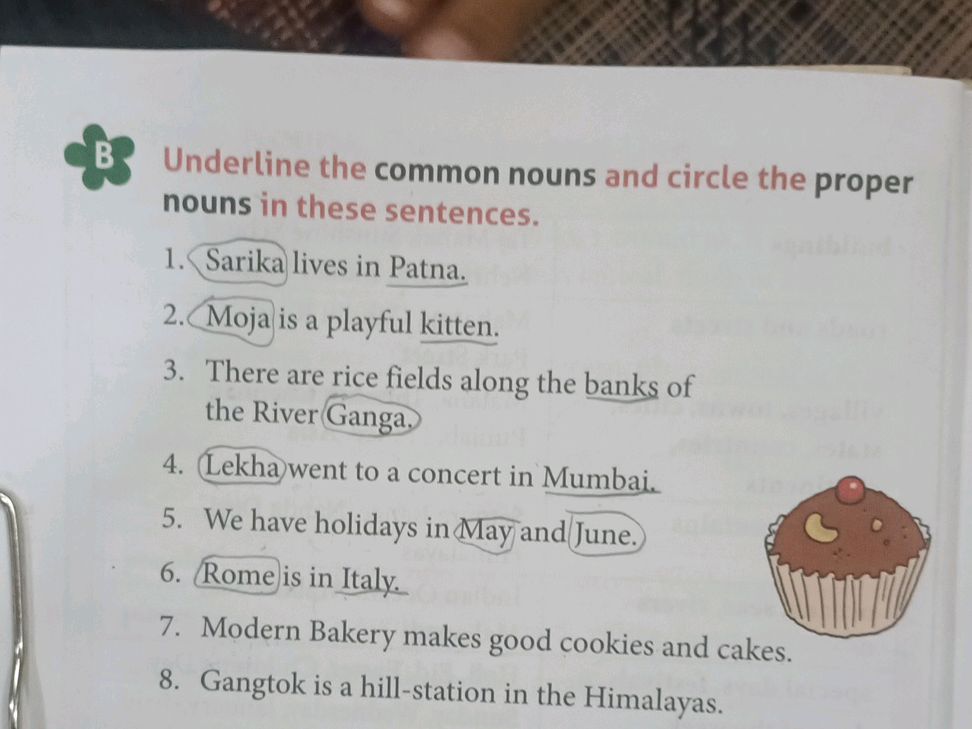 Underline the common nouns and circle the | StudyX