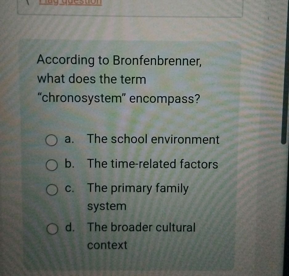 According to Bronfenbrenner, what does the | StudyX