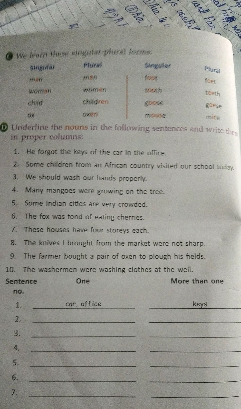 We learn these singular-plural forms: | | StudyX