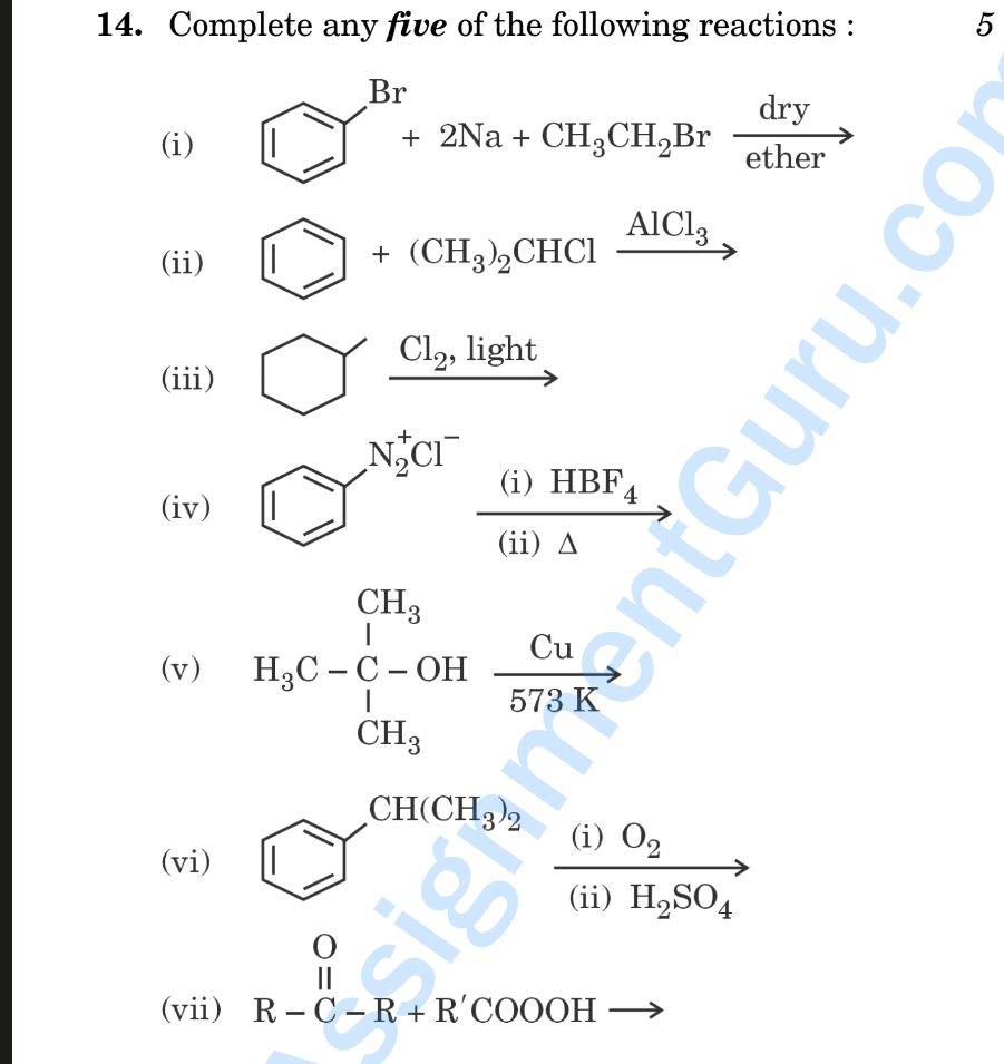 14. Complete any five of the following | StudyX