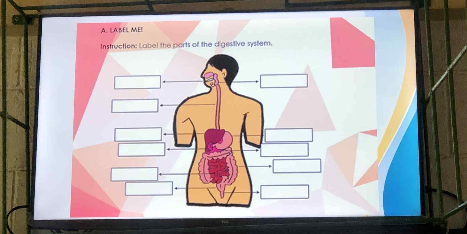 A. LABEL ME! Instruction: Label the parts | StudyX