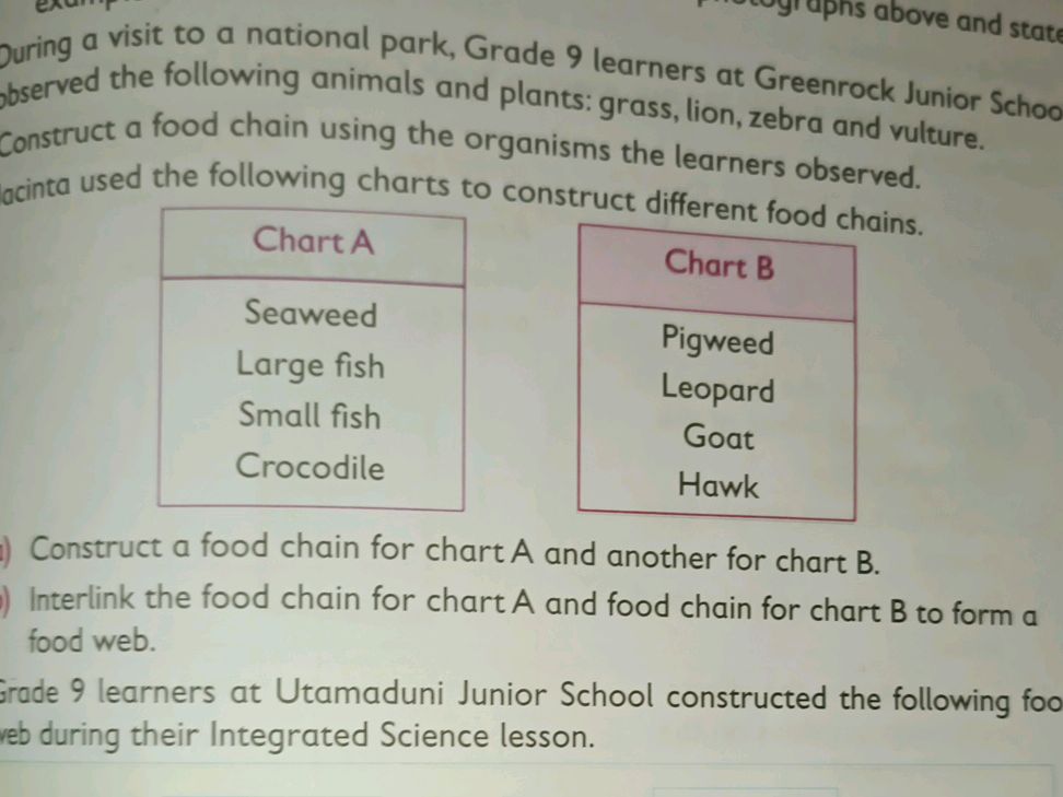 The following charts were used to construct | StudyX