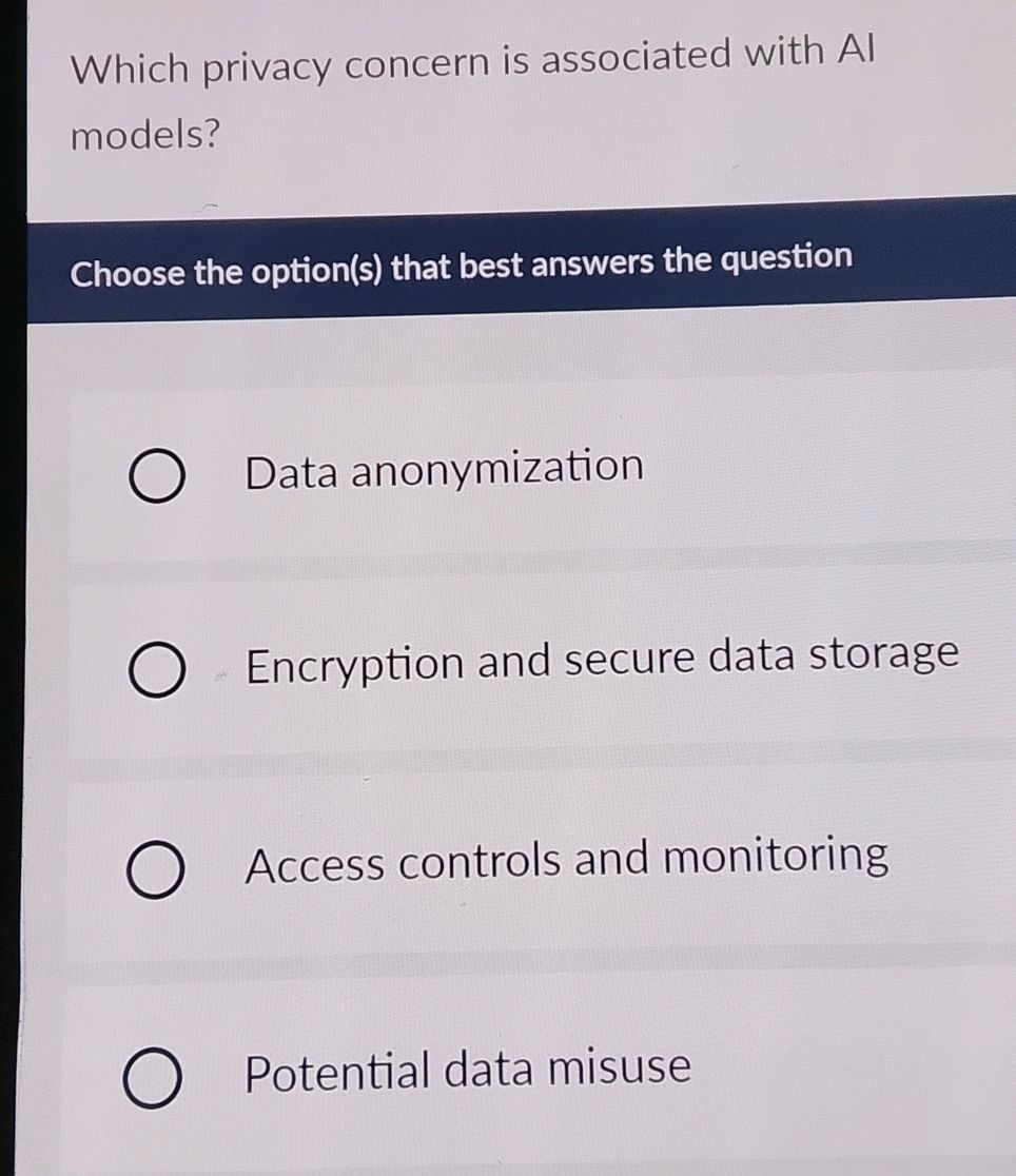 Which privacy concern is associated with AI | StudyX