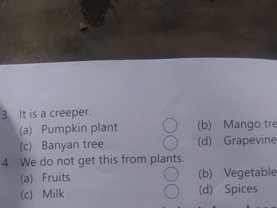 3. It is a creeper. (a) Pumpkin plant (b) | StudyX