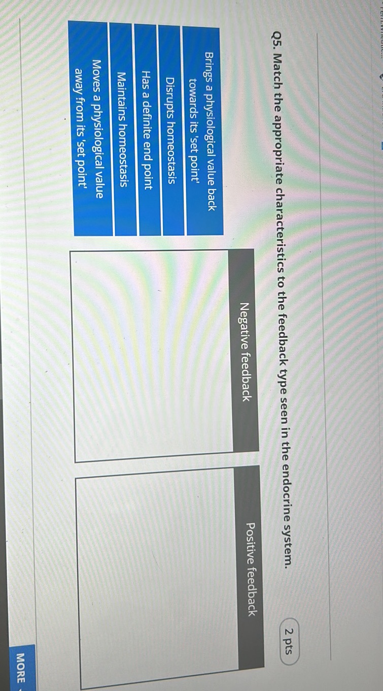 Q5. Match the appropriate characteristics to | StudyX
