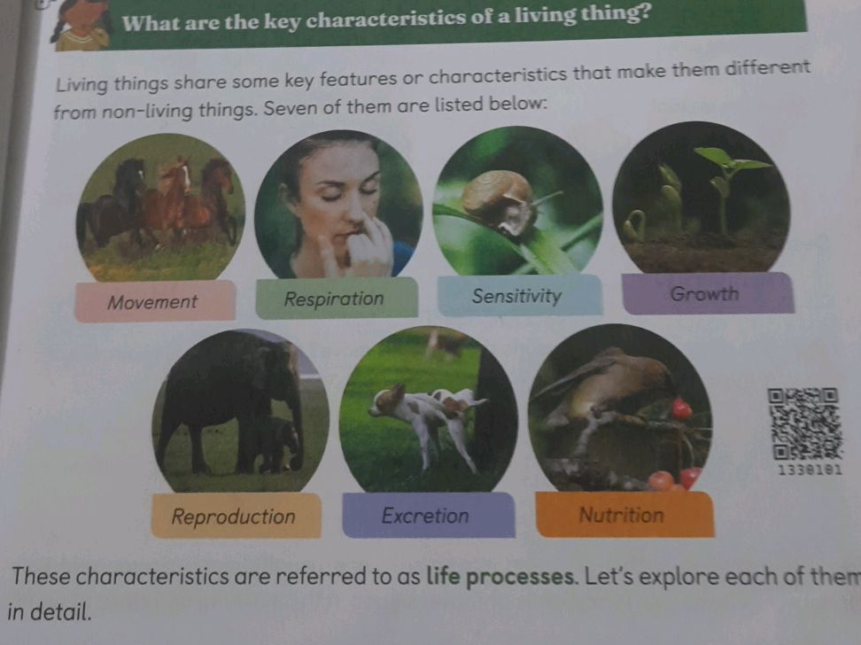 What are the key characteristics of a living | StudyX