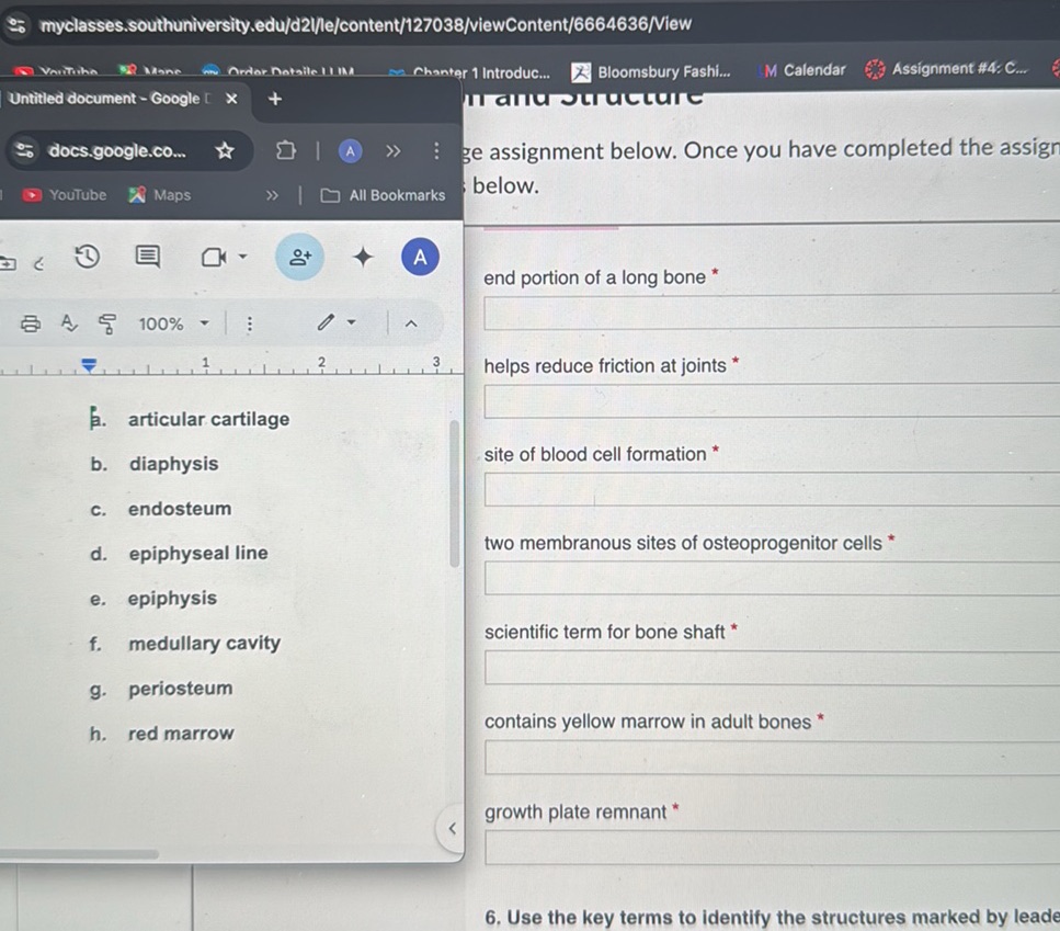 end portion of a long bone * helps reduce | StudyX
