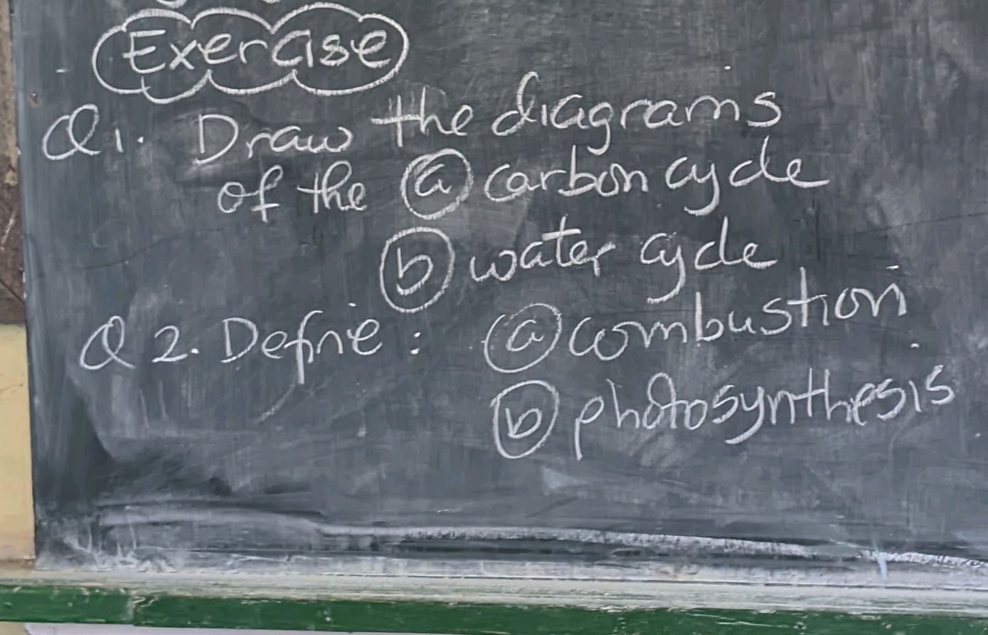 Q1. Draw the diagrams of the (a) carbon | StudyX