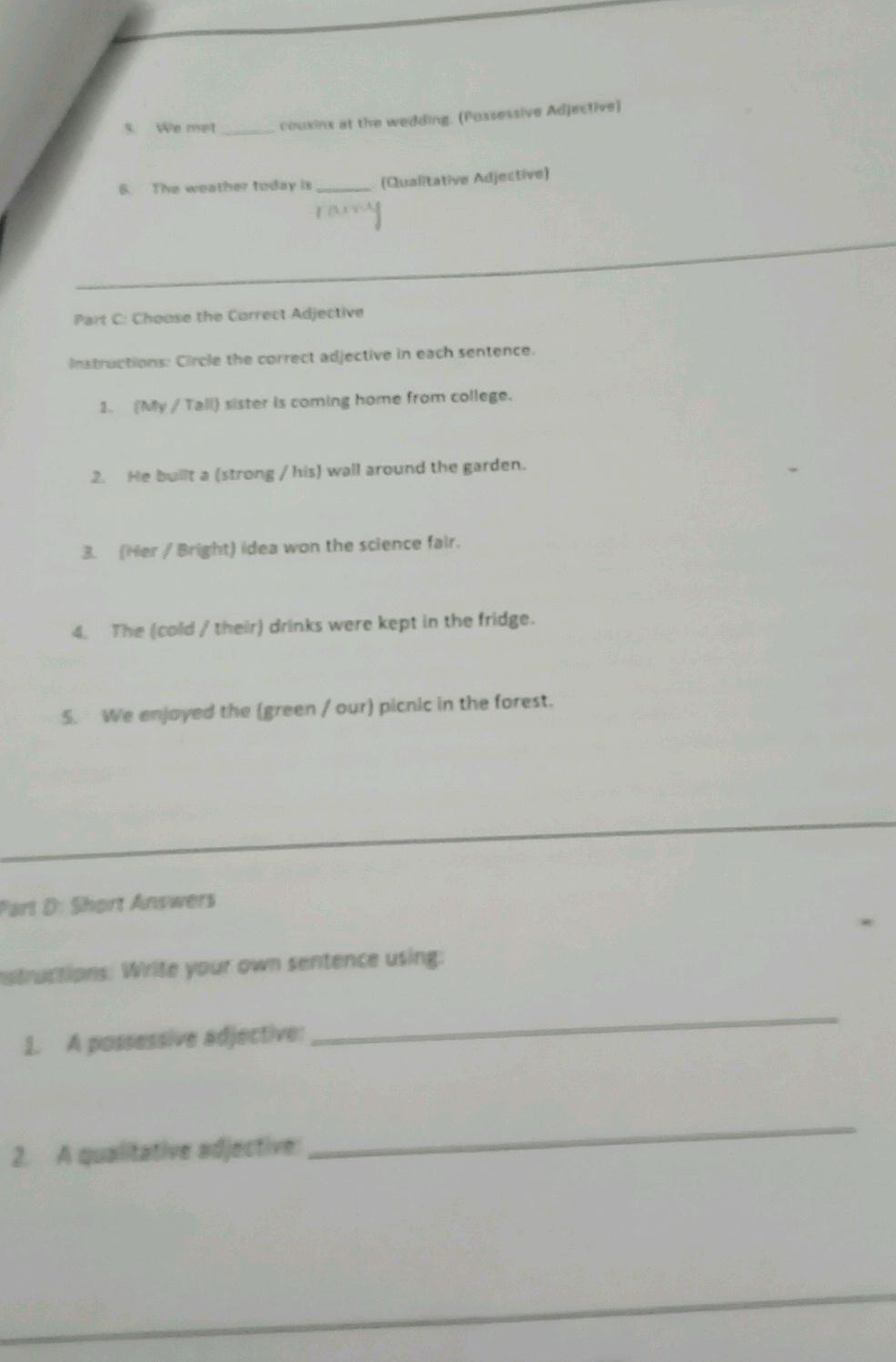 Part C: Choose the Correct Adjective | StudyX