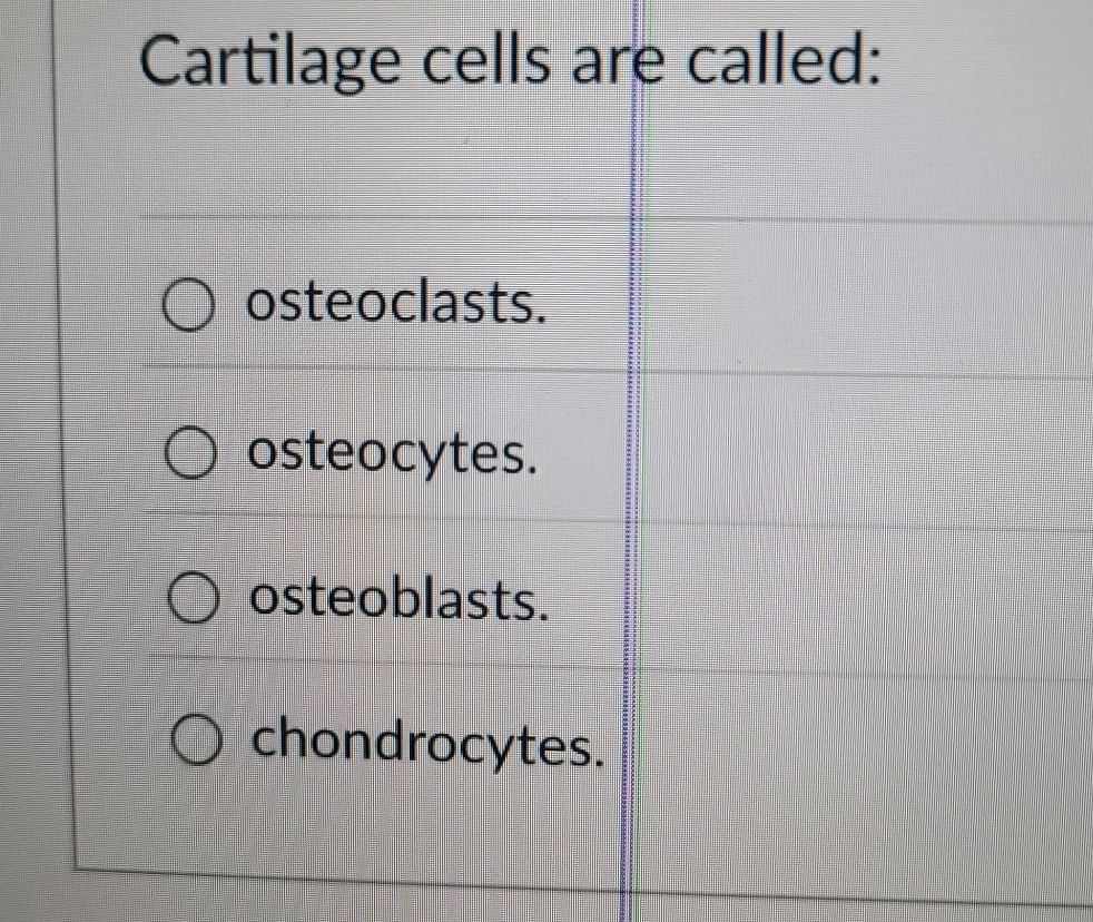 Cartilage cells are called: osteoclasts. | StudyX