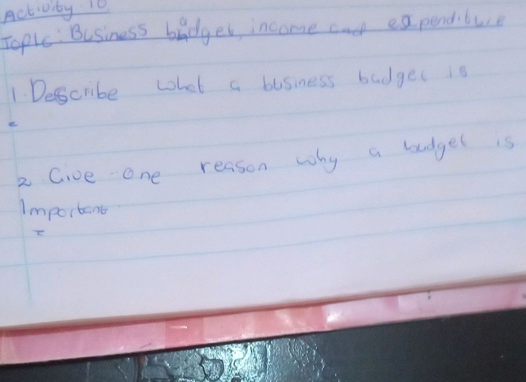 1. Describe what a business budget is 2. | StudyX